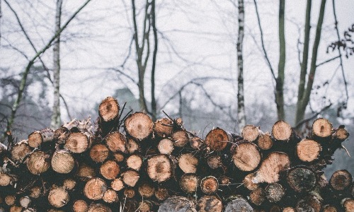 Virtual Log Files – Too many and you’re gone! – nigelDBA Virtual Log Files – Too many and you’re gone! – nigelDBA
